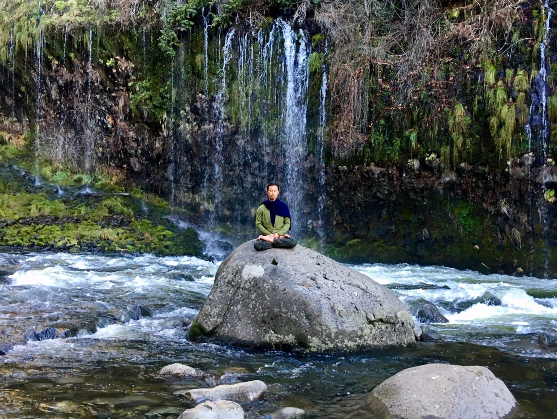 Dao Courses – Dao Center